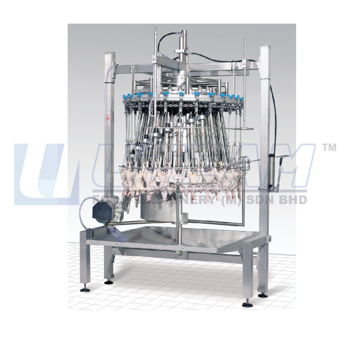 Poultry Processing Plant - U Team Food Machinery